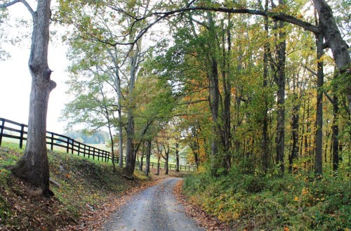 About Colonial Roads | Colonial Roads