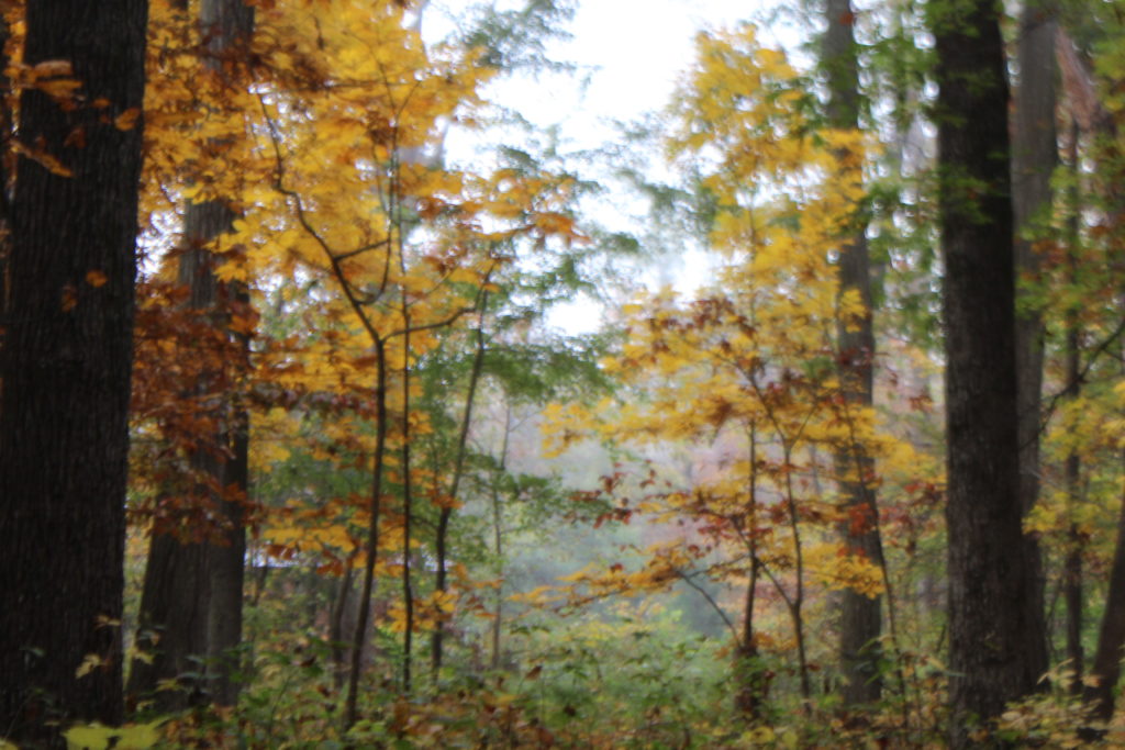 Hiking | Colonial Roads