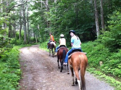 Shenandoah Horseback Riding | Colonial Roads
