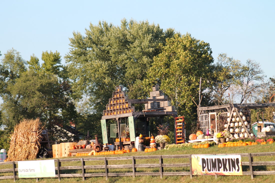 Burnside Farms Fall Market | Colonial Roads