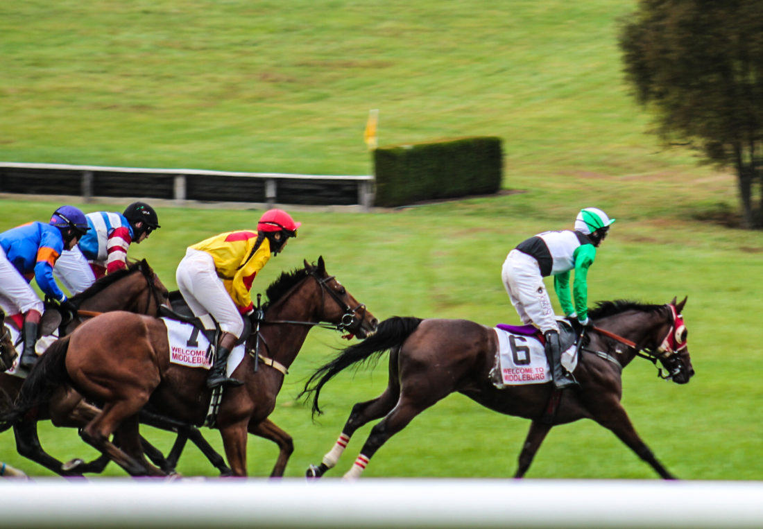 Virginia Fall Races | Colonial Roads