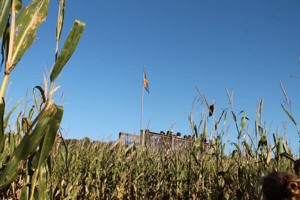 Hill High Farm | Colonial Roads