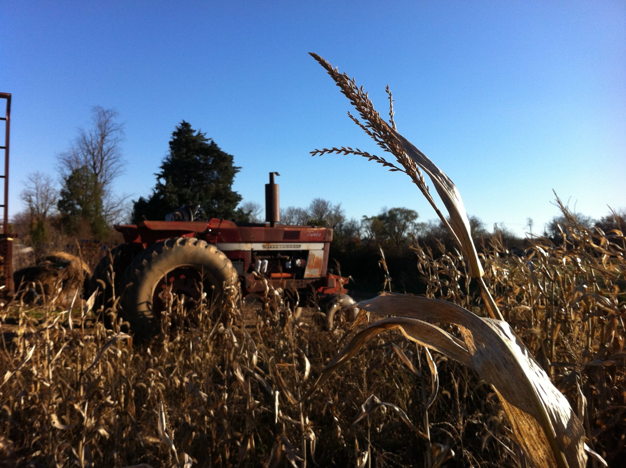 Back Home on the Farm | Colonial Roads