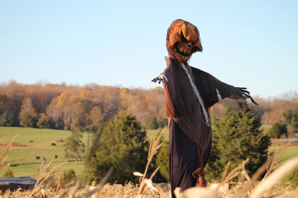 Buckland Haunted Farm | Colonial Roads