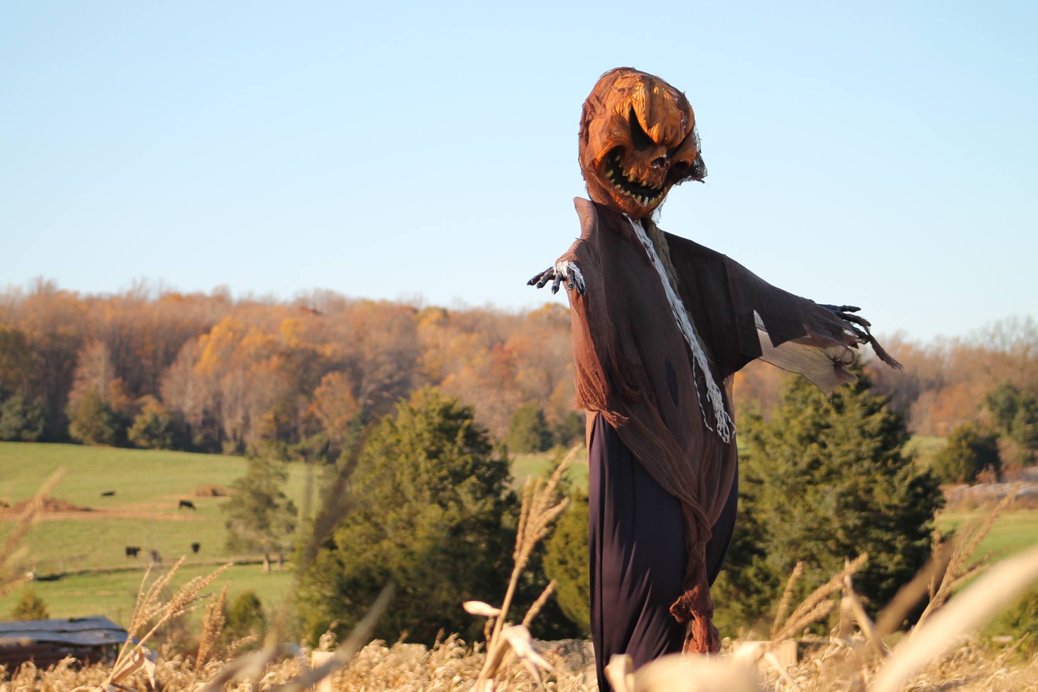 Buckland Haunted Farm | Colonial Roads